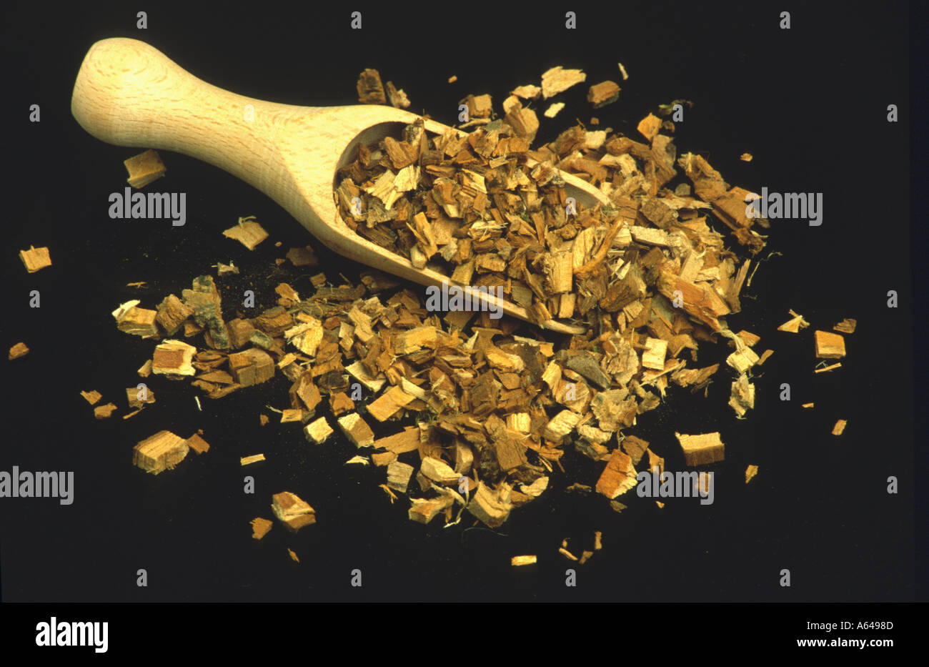 Elm tree bark hi-res stock photography and images - Alamy