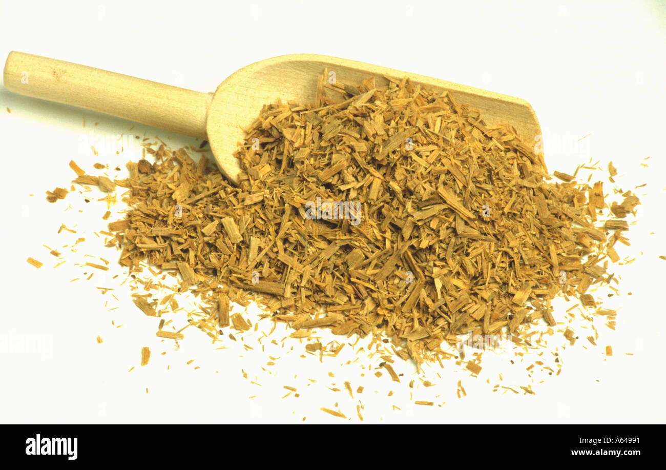 Potenzholz Muira puama Potency wood Stock Photo - Alamy