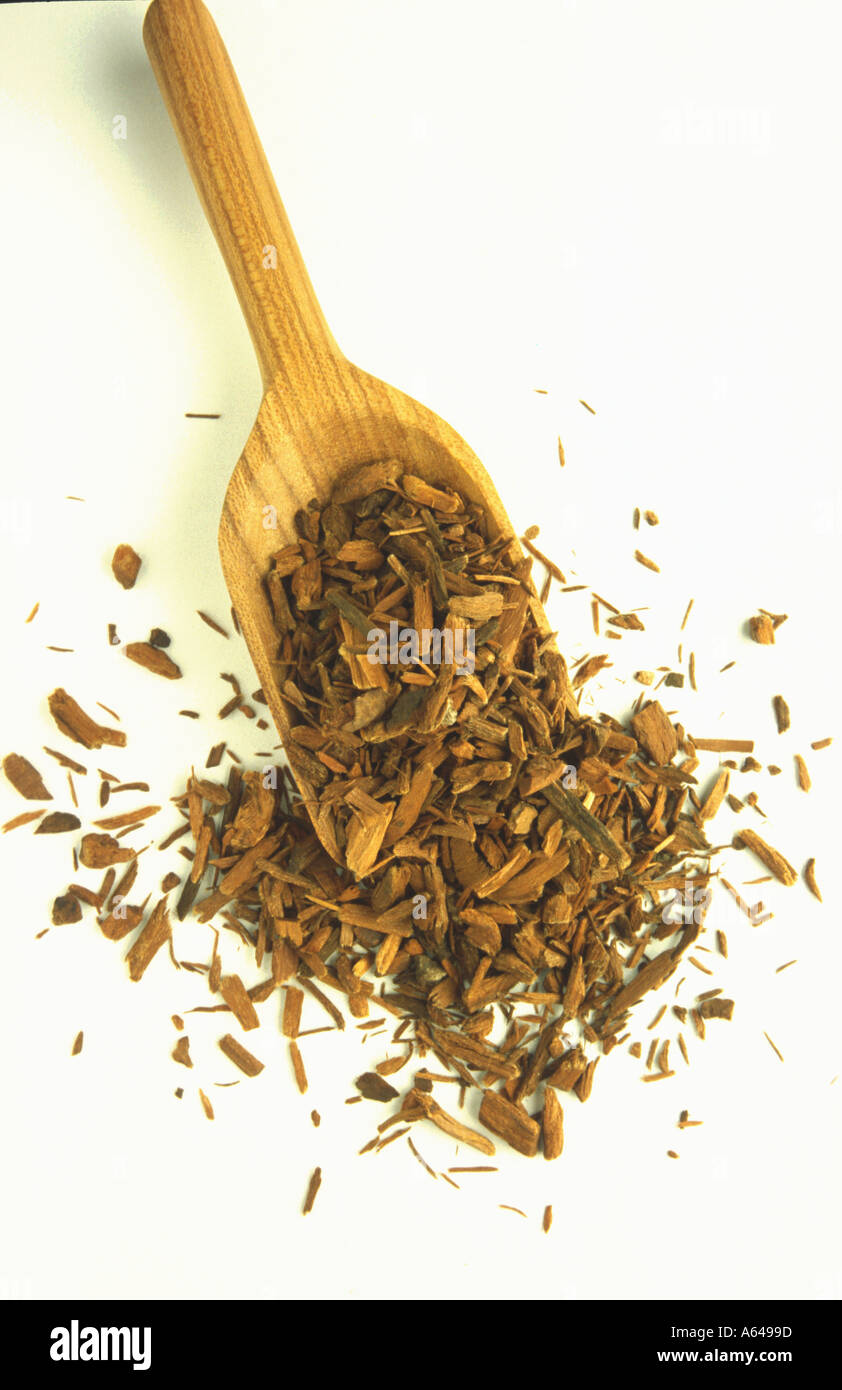 Yohimbe hi-res stock photography and images - Alamy
