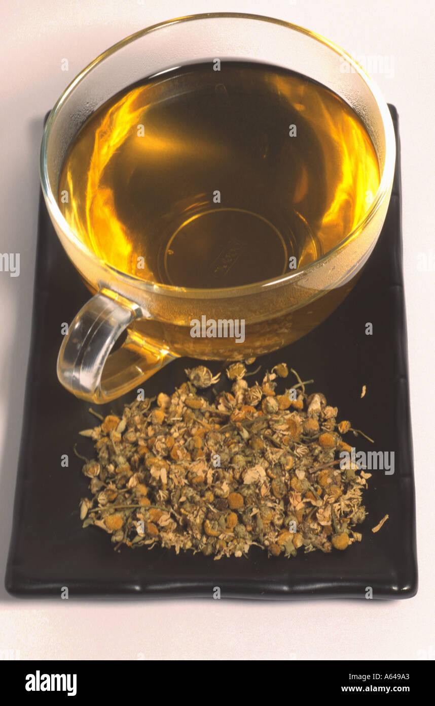 Kamillentee Matricaria recutita Chamomille Tea Stock Photo - Alamy