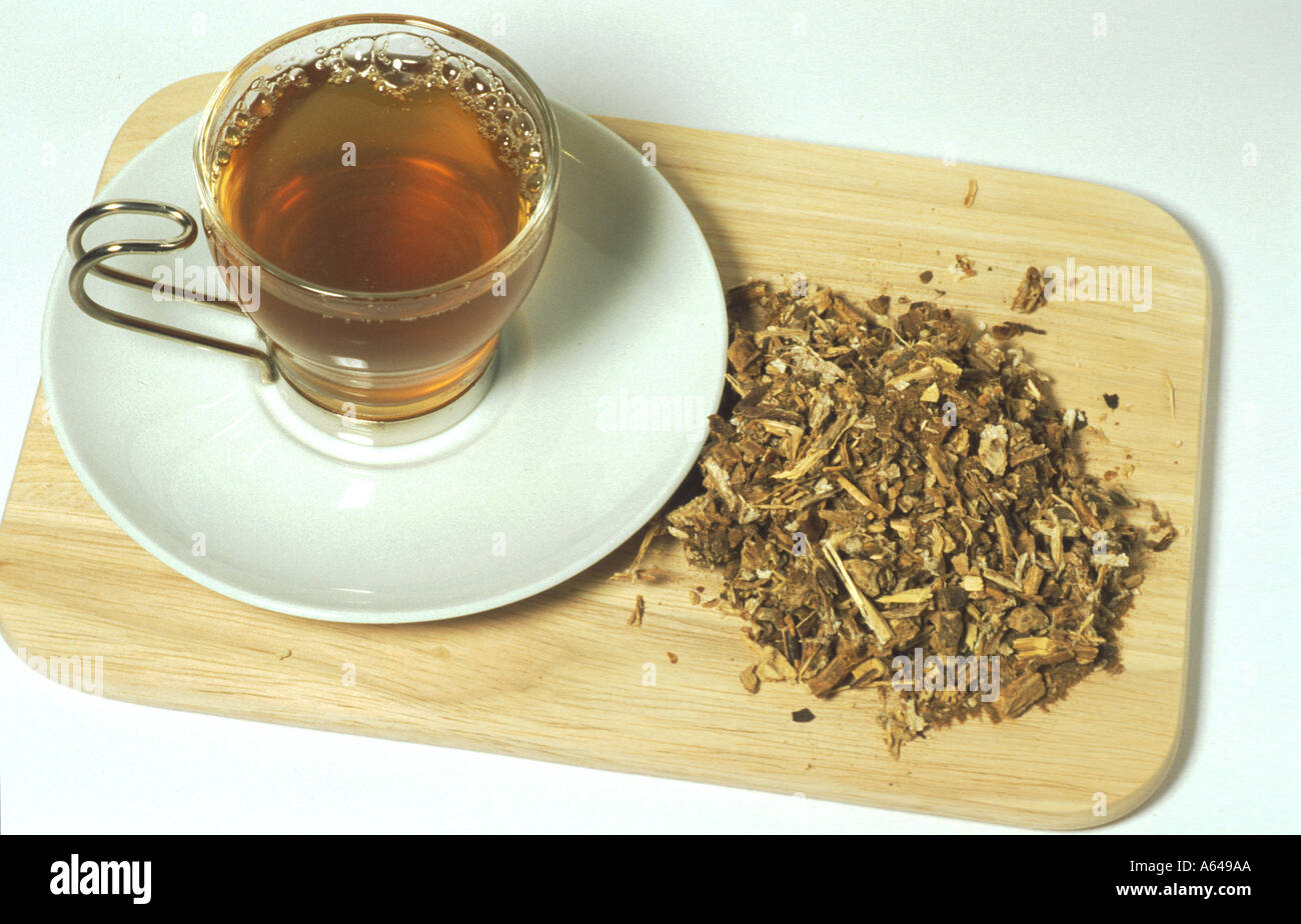 Klettenwurzeltee Articum lappa Burdockroottea Stock Photo - Alamy