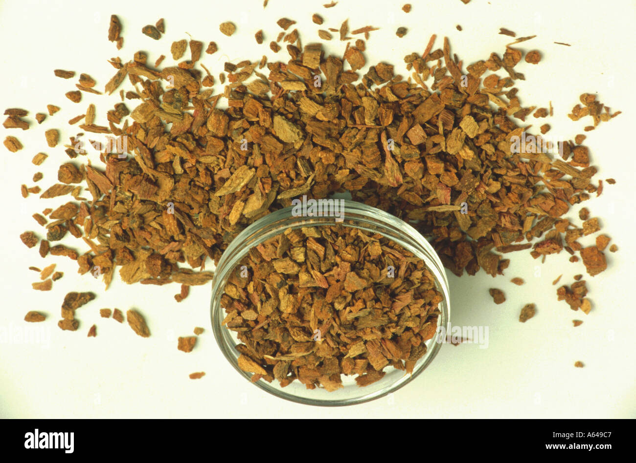 Quebracho hi-res stock photography and images - Alamy