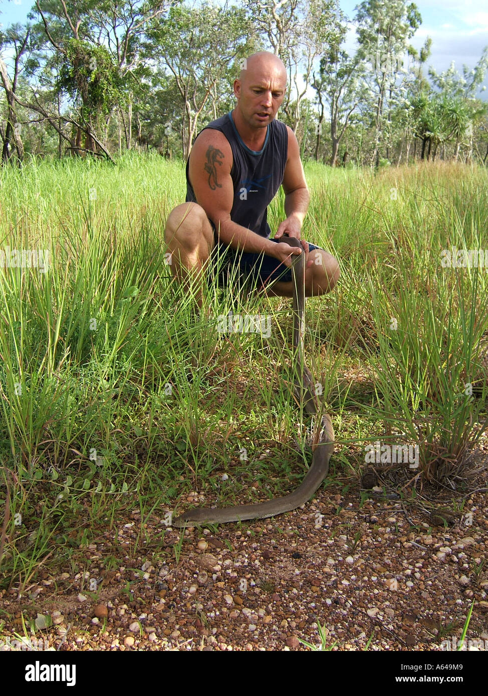 Snake guide Kakadu National Park Northern Territory Australia Stock ...