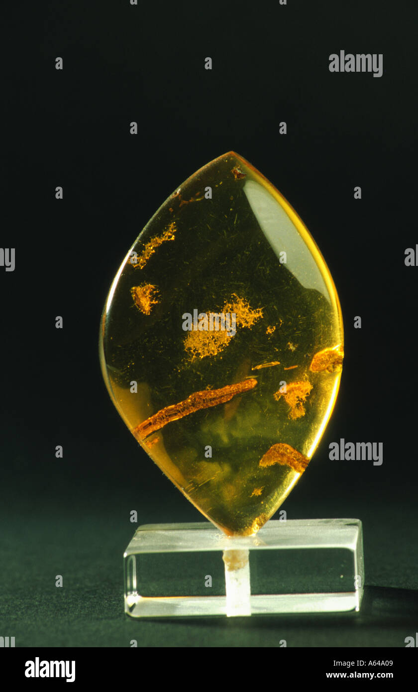 Amber Bernstein from Gdansk Danzig Poland Stock Photo - Alamy