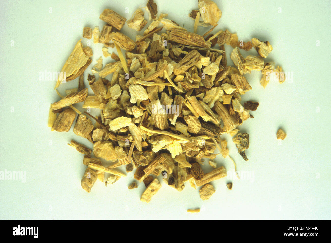 Seifenwurzel Saponaria radix Soaproot Bouncing bed Stock Photo - Alamy