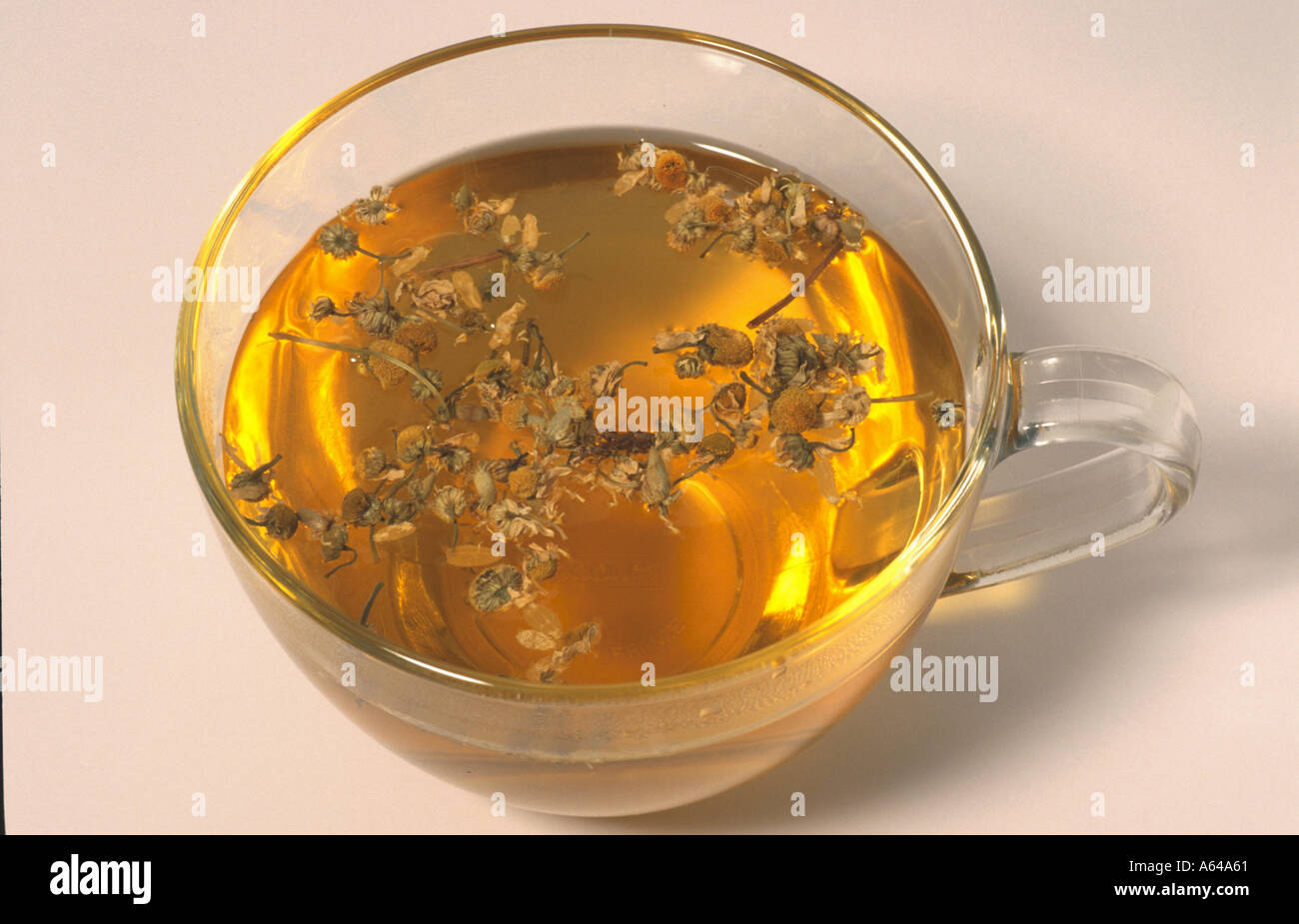 Kamillentee chamomilla recutita camomiletea Stock Photo - Alamy