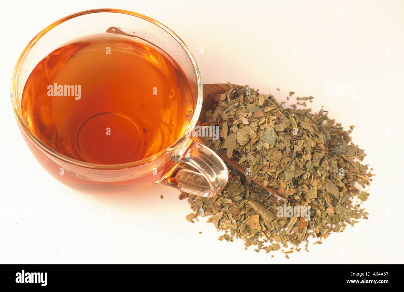 Boldo tea hi-res stock photography and images - Alamy