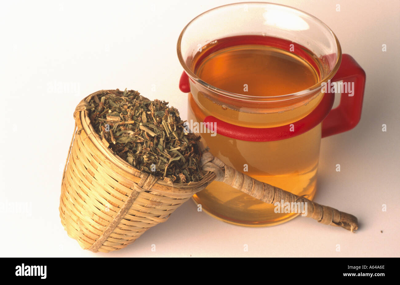 Aviculare hi-res stock photography and images - Alamy