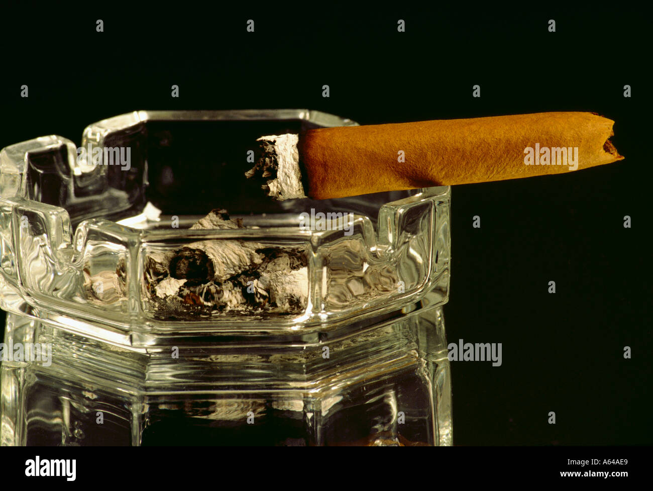 cigar cigar ash burning cigar stub ashtray Stock Photo - Alamy