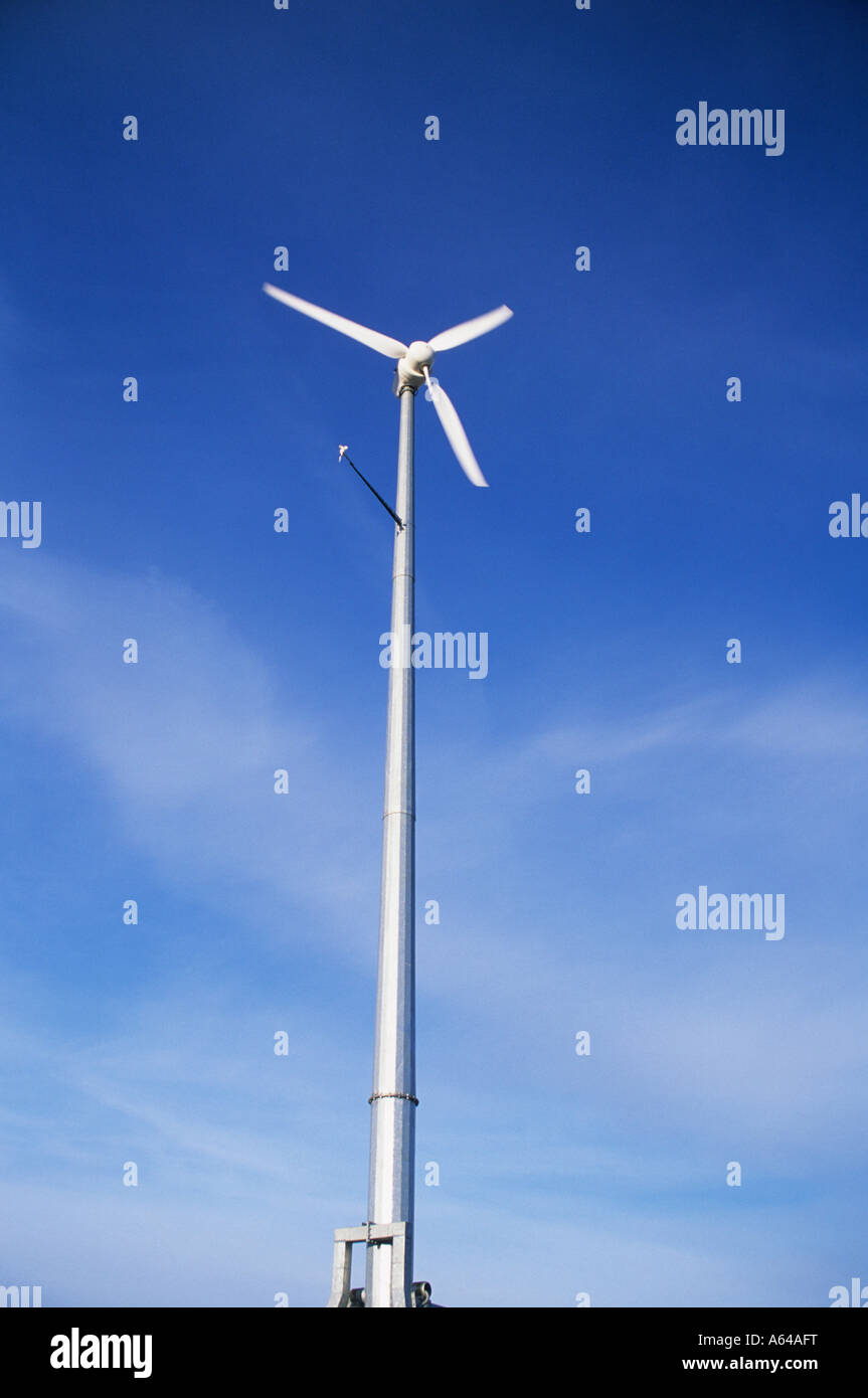 Wind bourne hi-res stock photography and images - Alamy