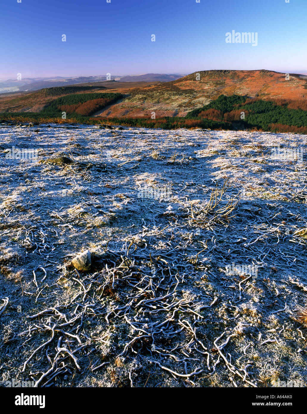 Frosty morning on Burbage moor in the Peak District Stock Photo - Alamy