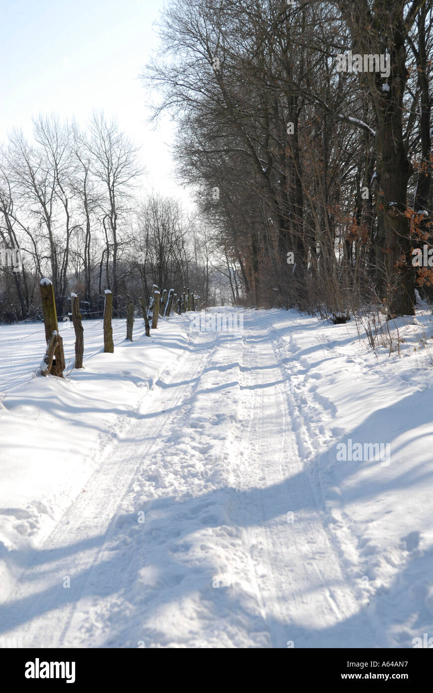 Path in winter landscape Stock Photo - Alamy