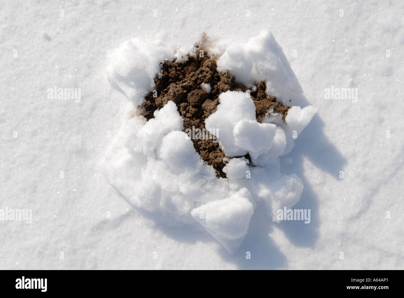 Molehill digging hi-res stock photography and images - Alamy