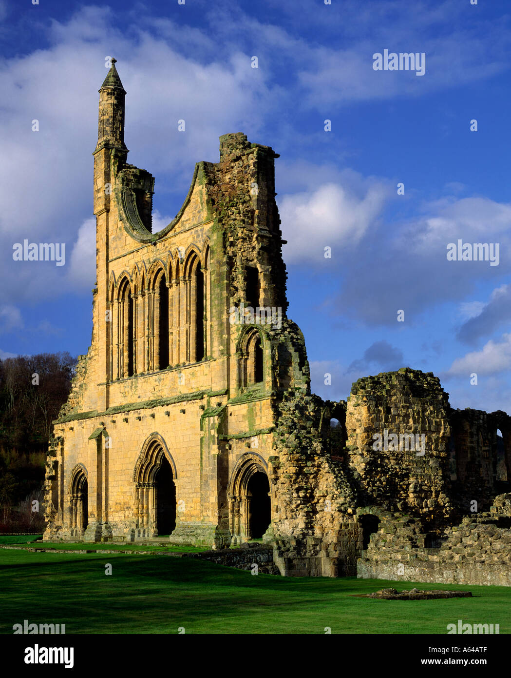 Byland abbey in north yorkshire hi-res stock photography and images - Alamy