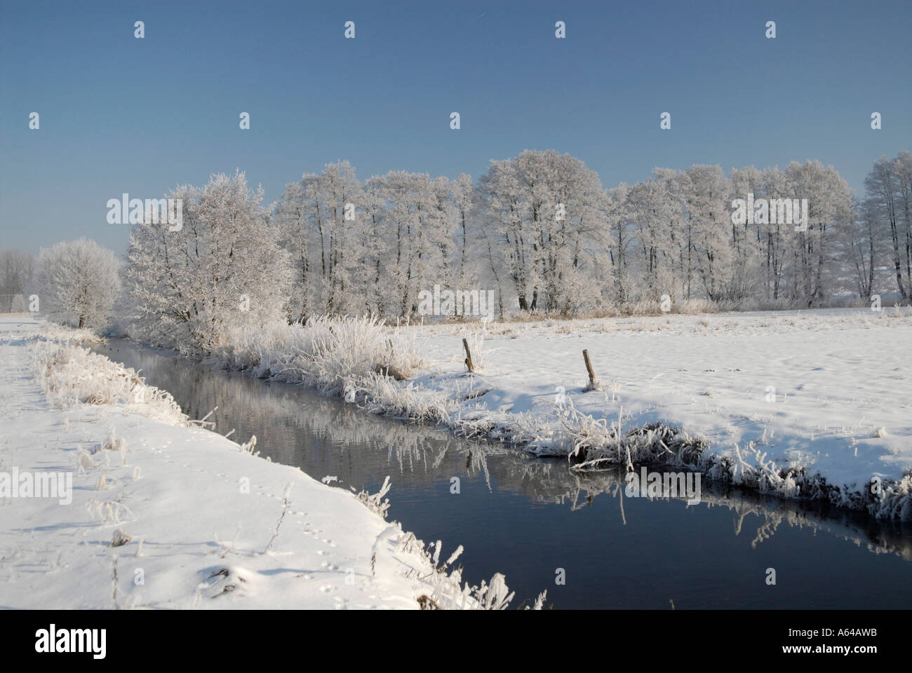 Frosted ice trees in winter landscape Stock Photo - Alamy