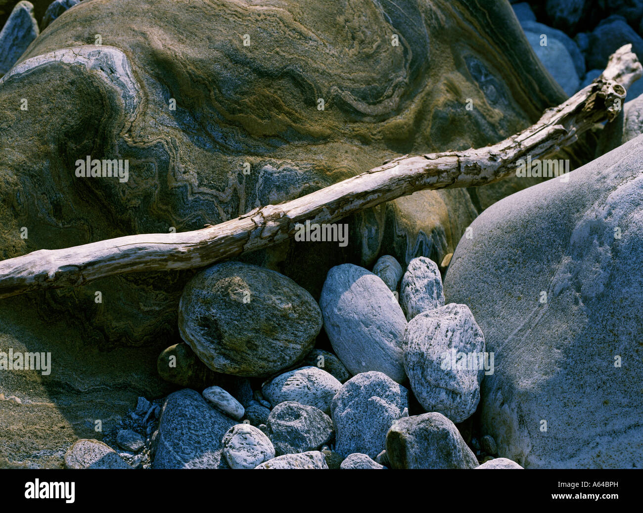 stones in dry anabranch of river verzasca verzasca valley canton of ...