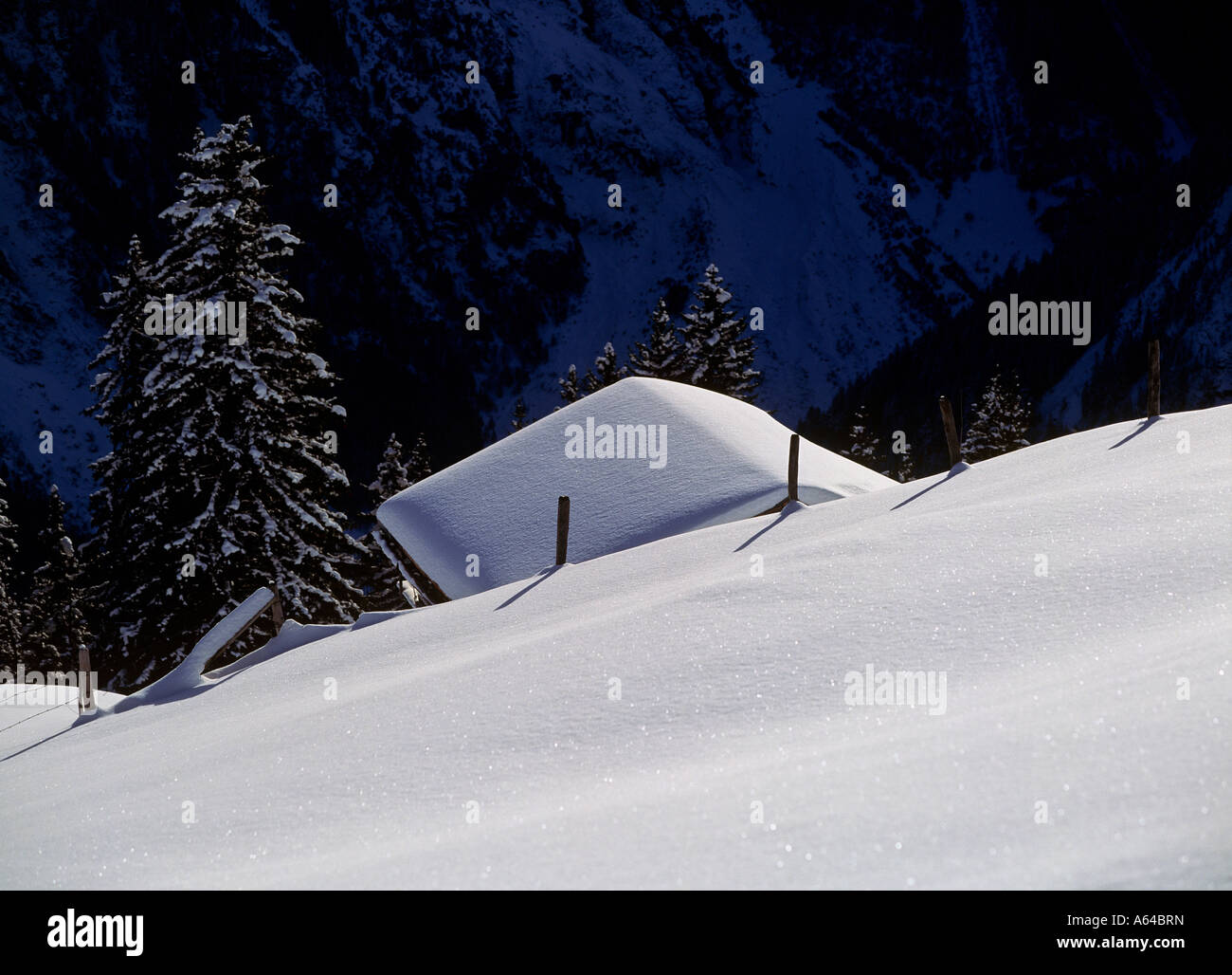 snow covered alpine shed near village of murren region of bernese ...