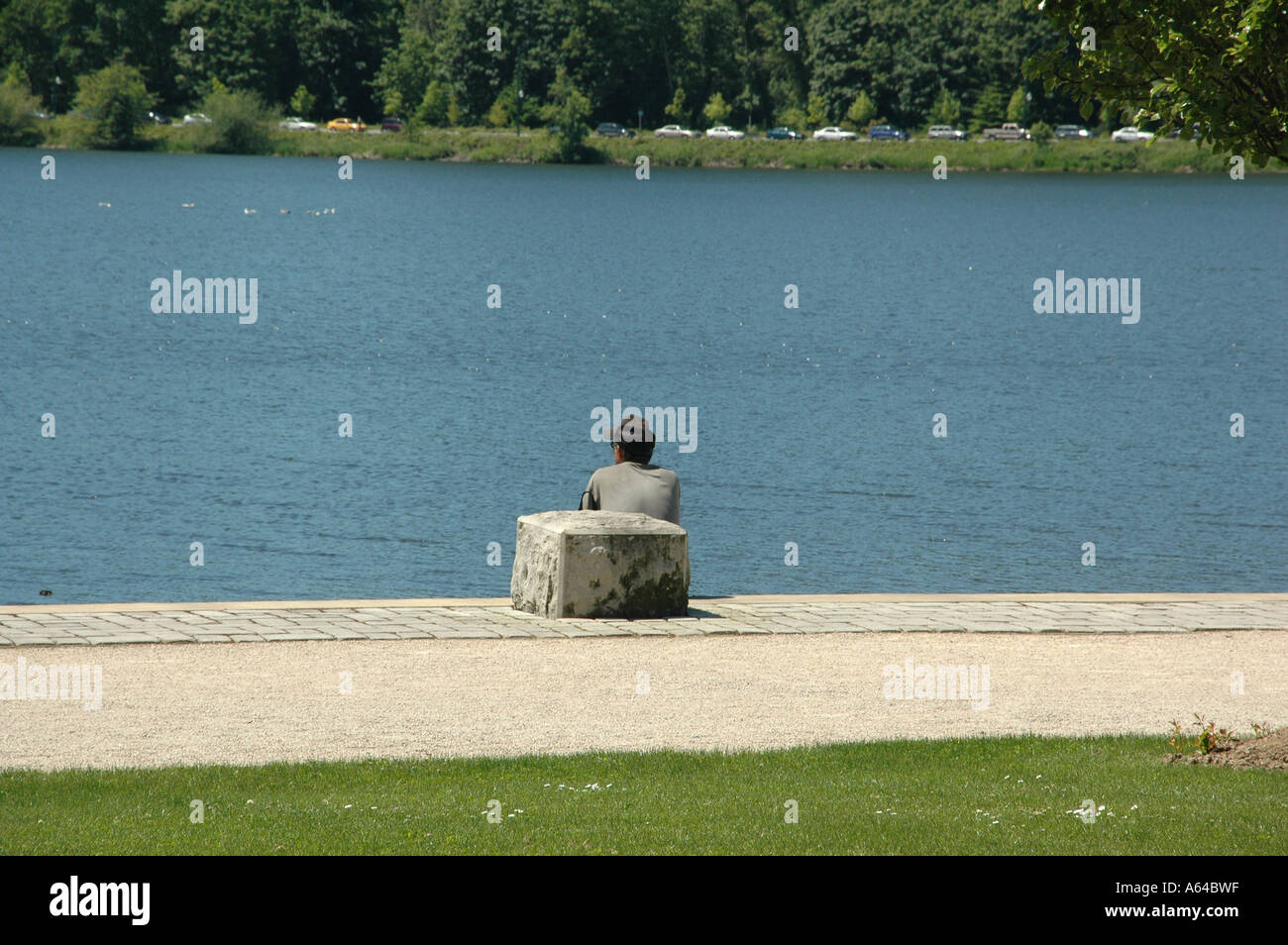Man sitting and viewing lake, rear view Stock Photo - Alamy