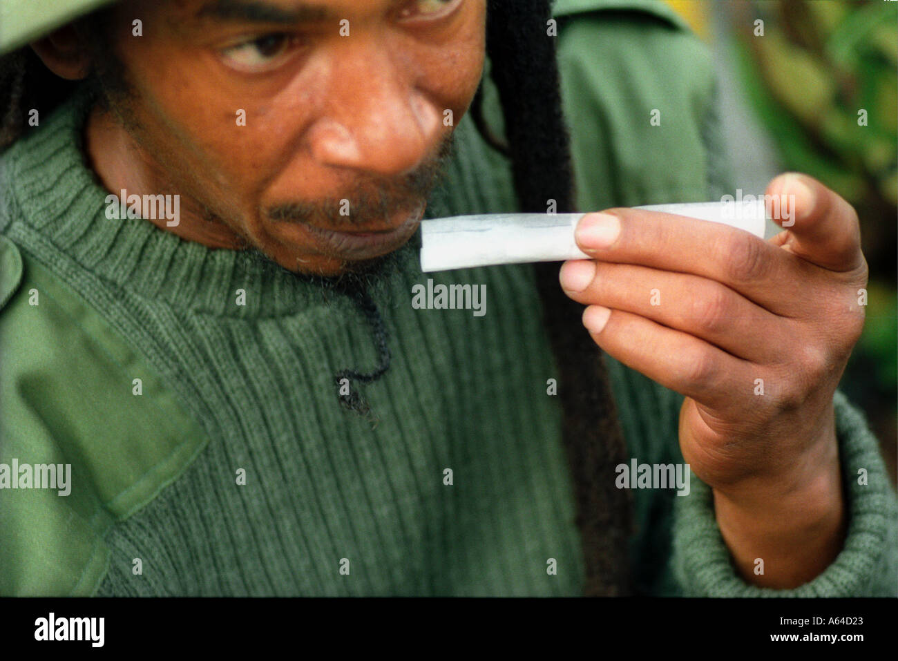 Man rolling a joint Stock Photo - Alamy