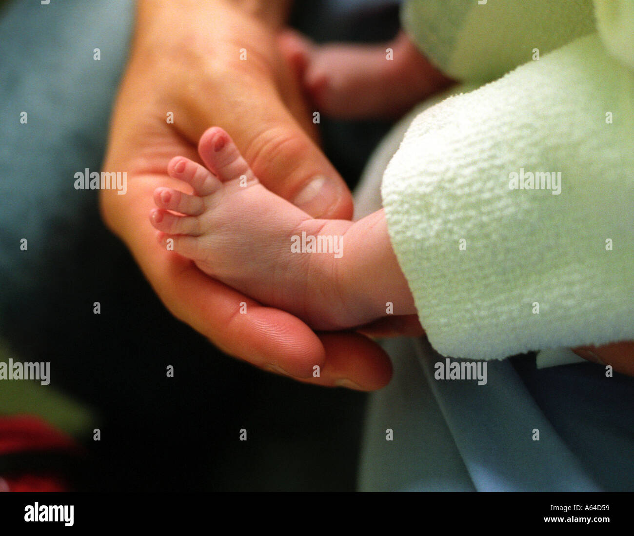 Foot of a newborn baby Stock Photo - Alamy