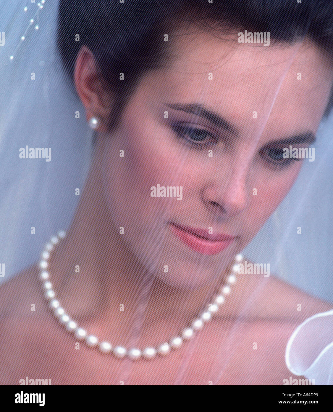 Portrait of Bride Stock Photo - Alamy