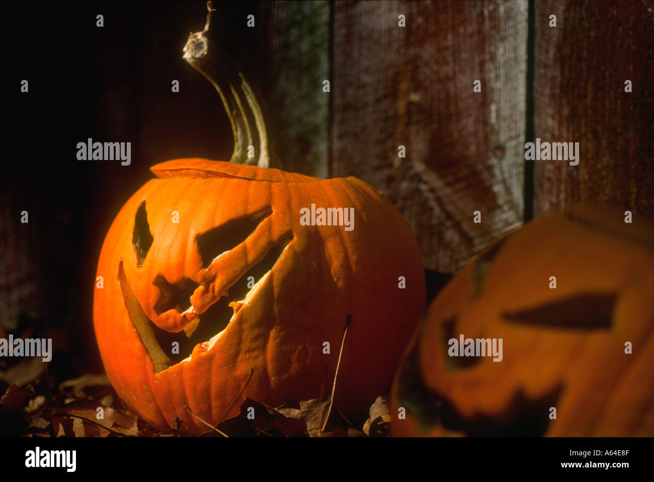 Jack-o-lantern pumpkins carved for Halloween Stock Photo - Alamy