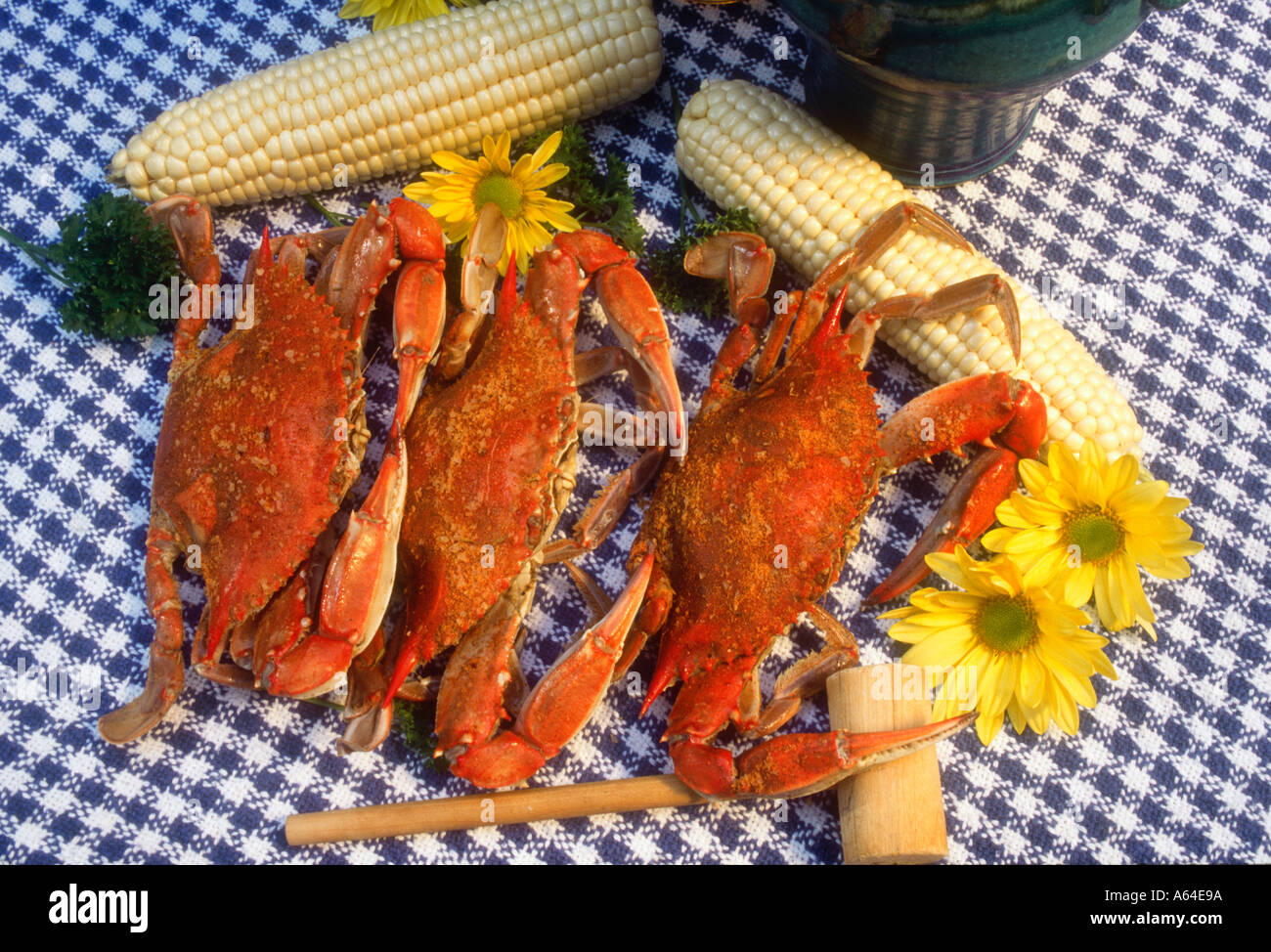 Steamed Chesapeake Bay blue crabs Stock Photo - Alamy