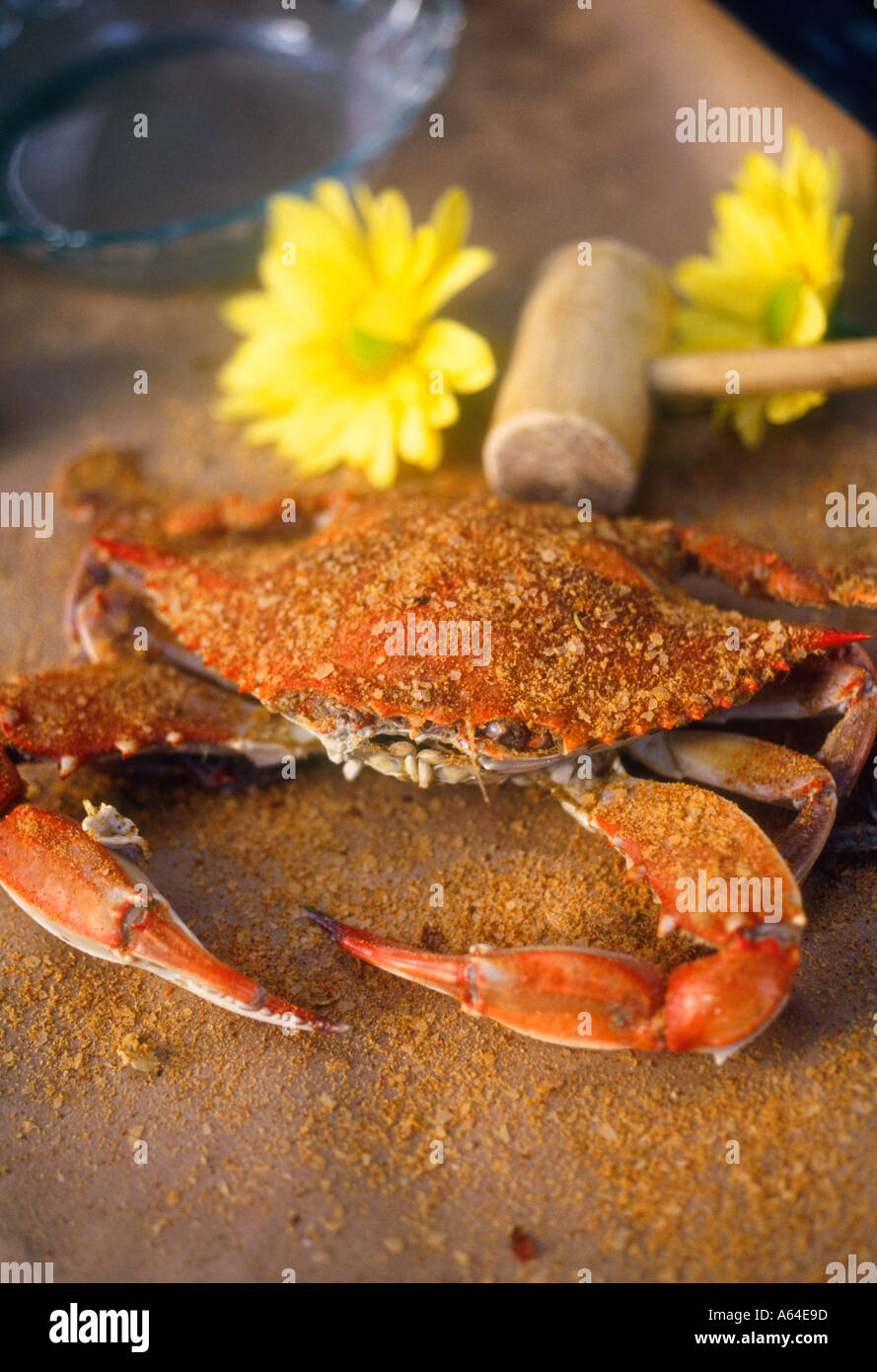Steamed Chesapeake Bay blue crabs Stock Photo - Alamy