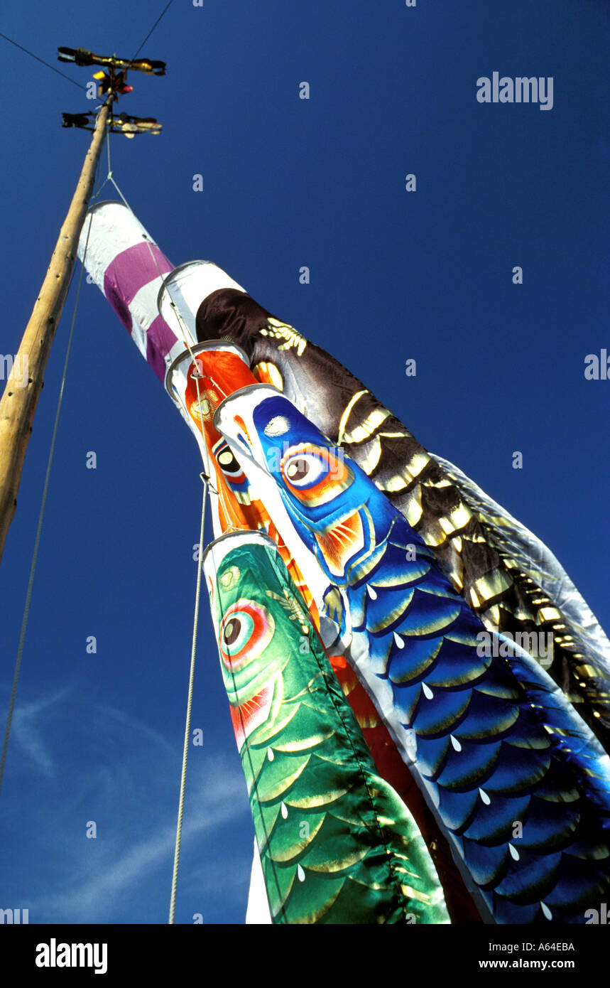 Japan Shizuoka Koinobori carp kites Stock Photo - Alamy