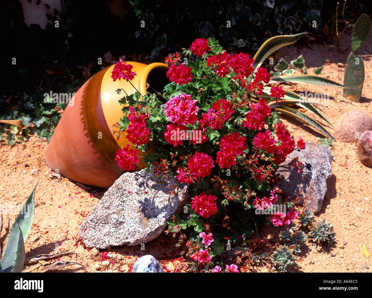 Flower pot part glazed in Spanish holiday villa garden flowering ...