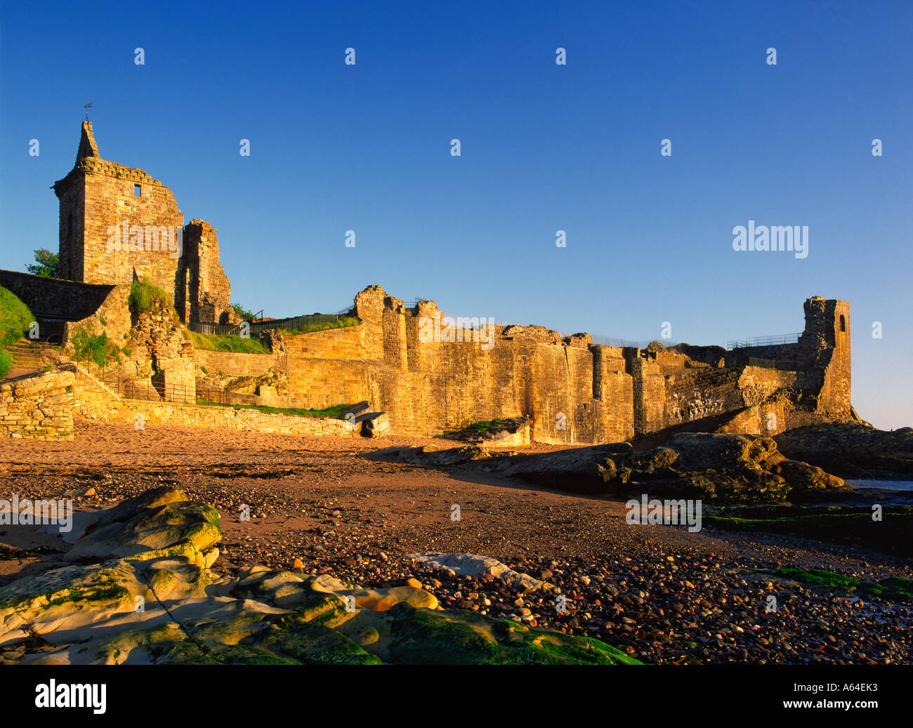 St Andrews Castle in Fife Scotland Stock Photo - Alamy