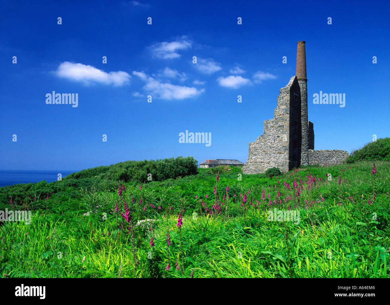 Engine house of the Carn Galver Tin mine in Cornwall Stock Photo - Alamy