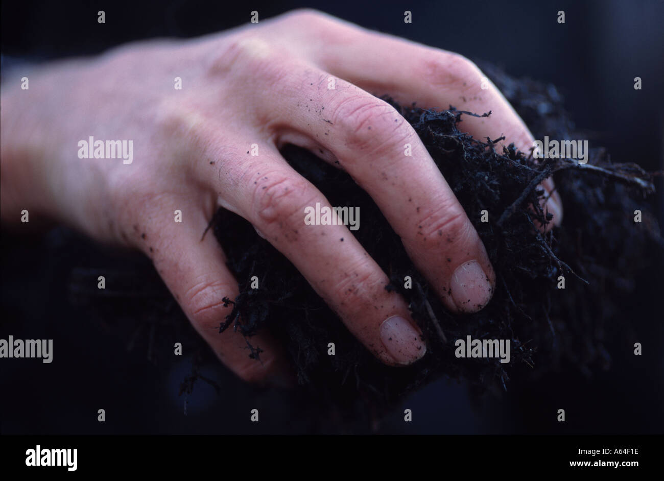 Hand holding peat moss hi-res stock photography and images - Alamy