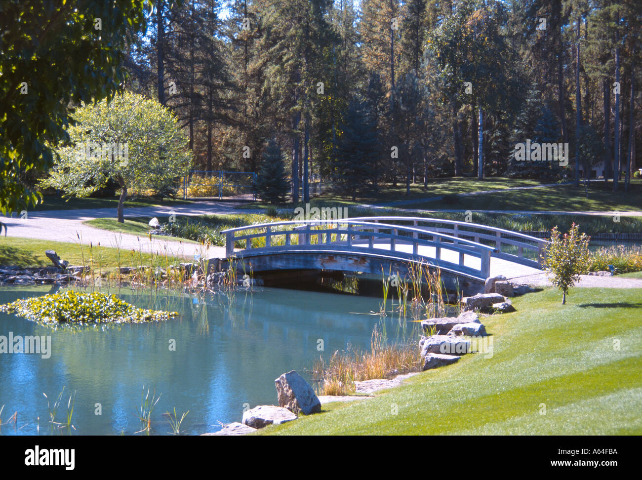 Devonian gardens hi-res stock photography and images - Alamy