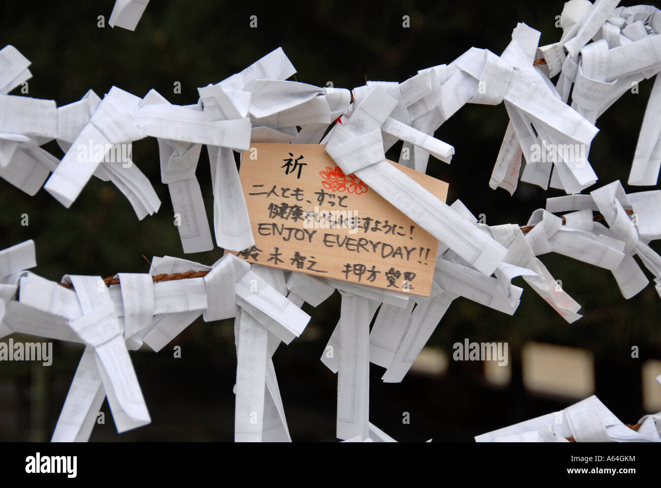 Omikuji paper prayers, and other good luck messages tied to frame at ...