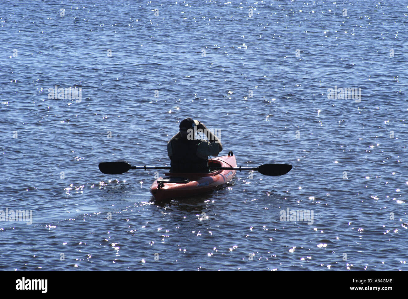 Cedar Keys Florida NWR national wildlife refuge kayak wildlife ...