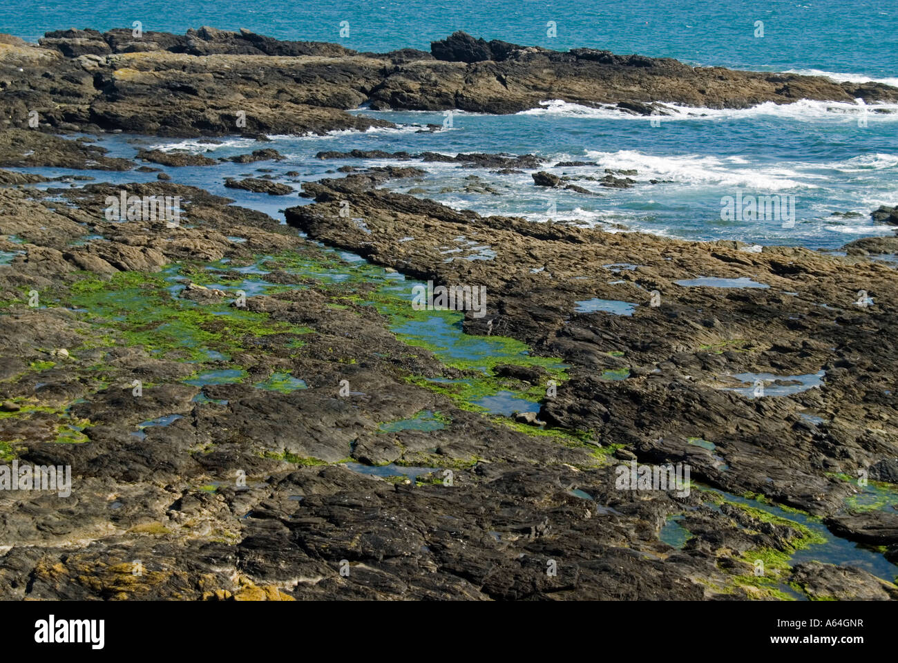 Rocky Shore, Prawle Point, Devon, England Stock Photo - Alamy