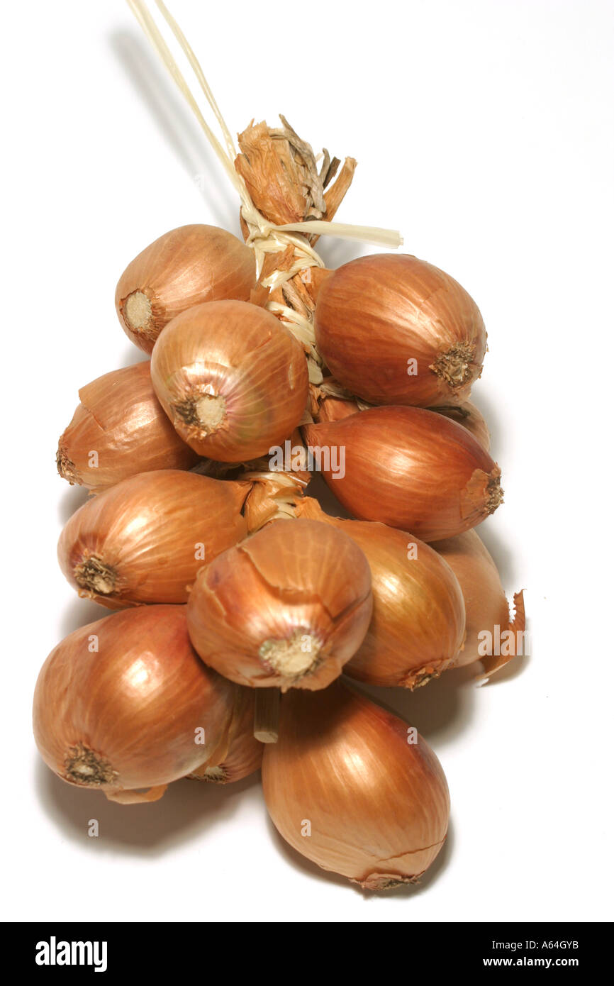 A bunch of Shallots Allium cepa Stock Photo - Alamy