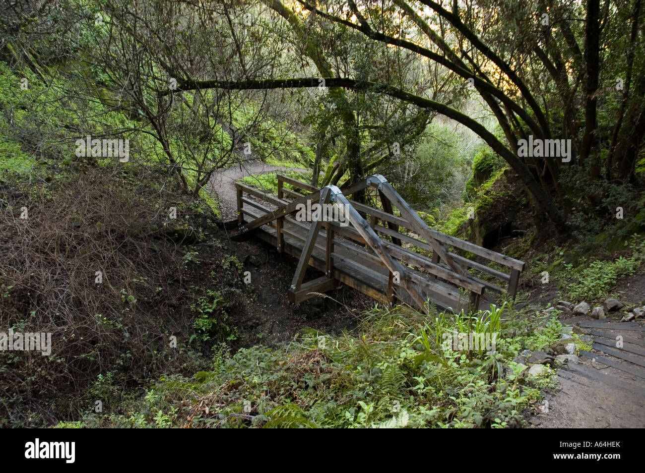 Bridge At Garland Ranch Park Stock Photo - Alamy