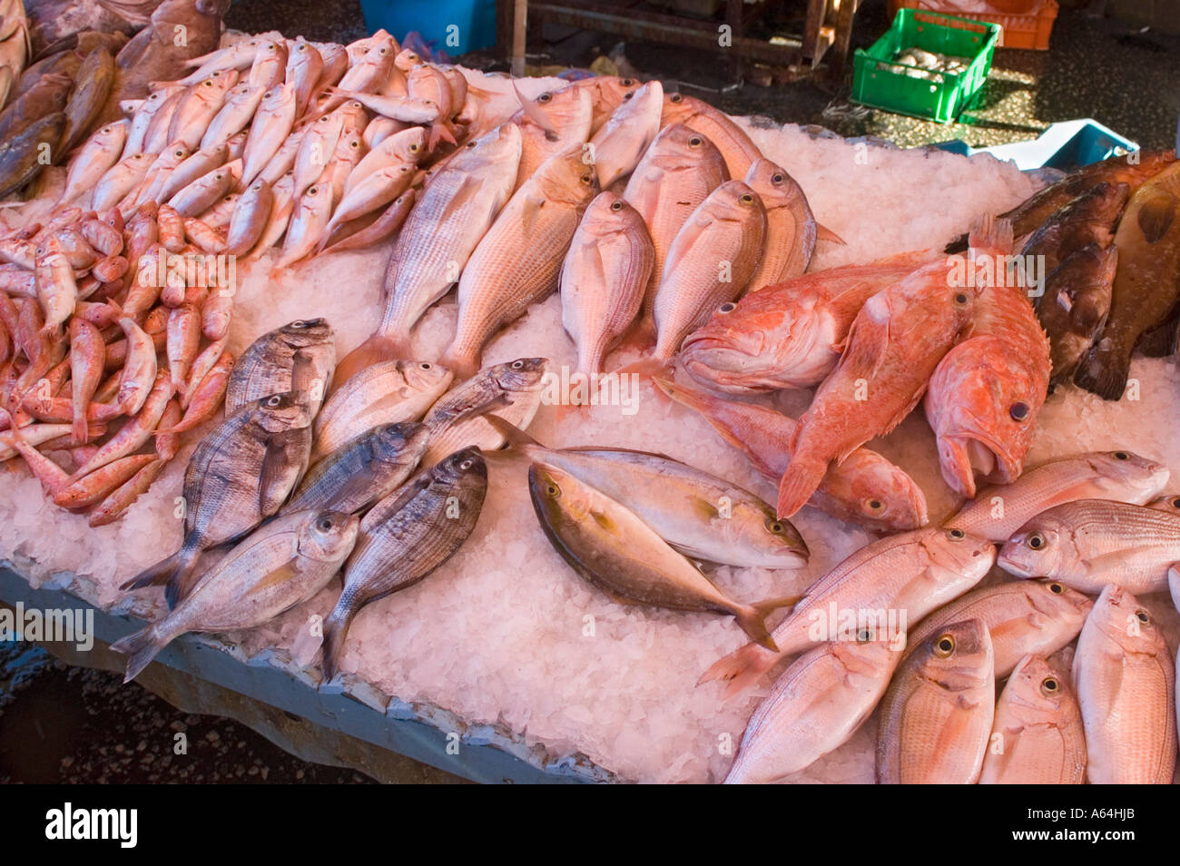 Fish market in Tripoli Stock Photo - Alamy