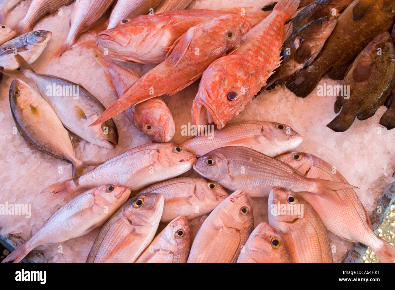 Fish market in Tripoli Stock Photo - Alamy