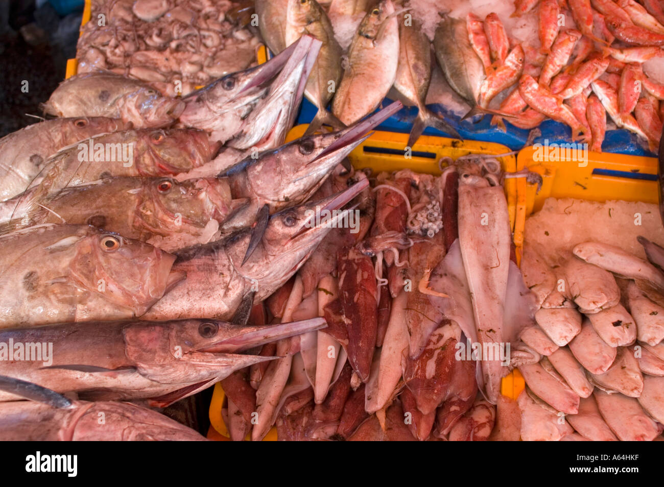 Fish market in Tripoli Stock Photo - Alamy