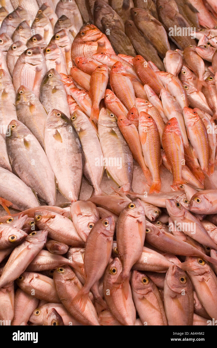 Fish market in tripoli hi-res stock photography and images - Alamy