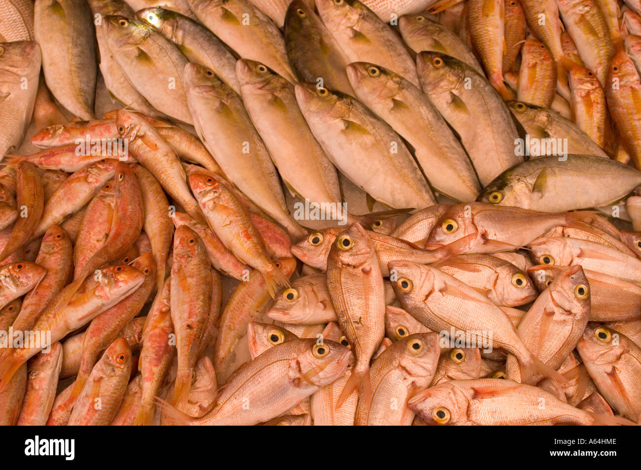 Fish market in Tripoli Stock Photo - Alamy