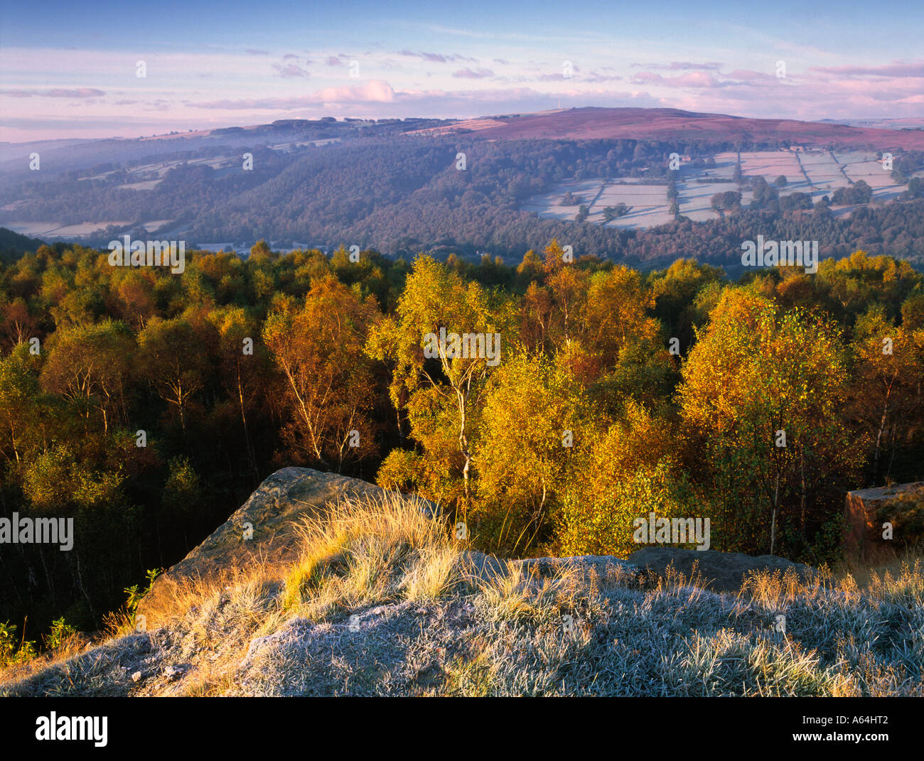 The edge of Lawrance field overlooking Bole hill wood on the Longshaw ...