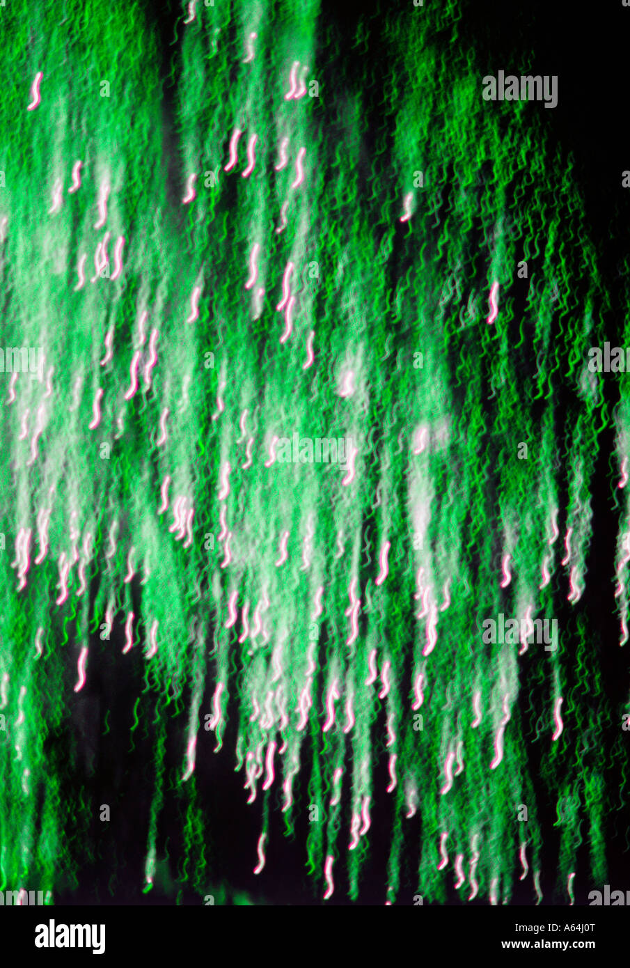 Flying fireworks rocket hi-res stock photography and images - Alamy