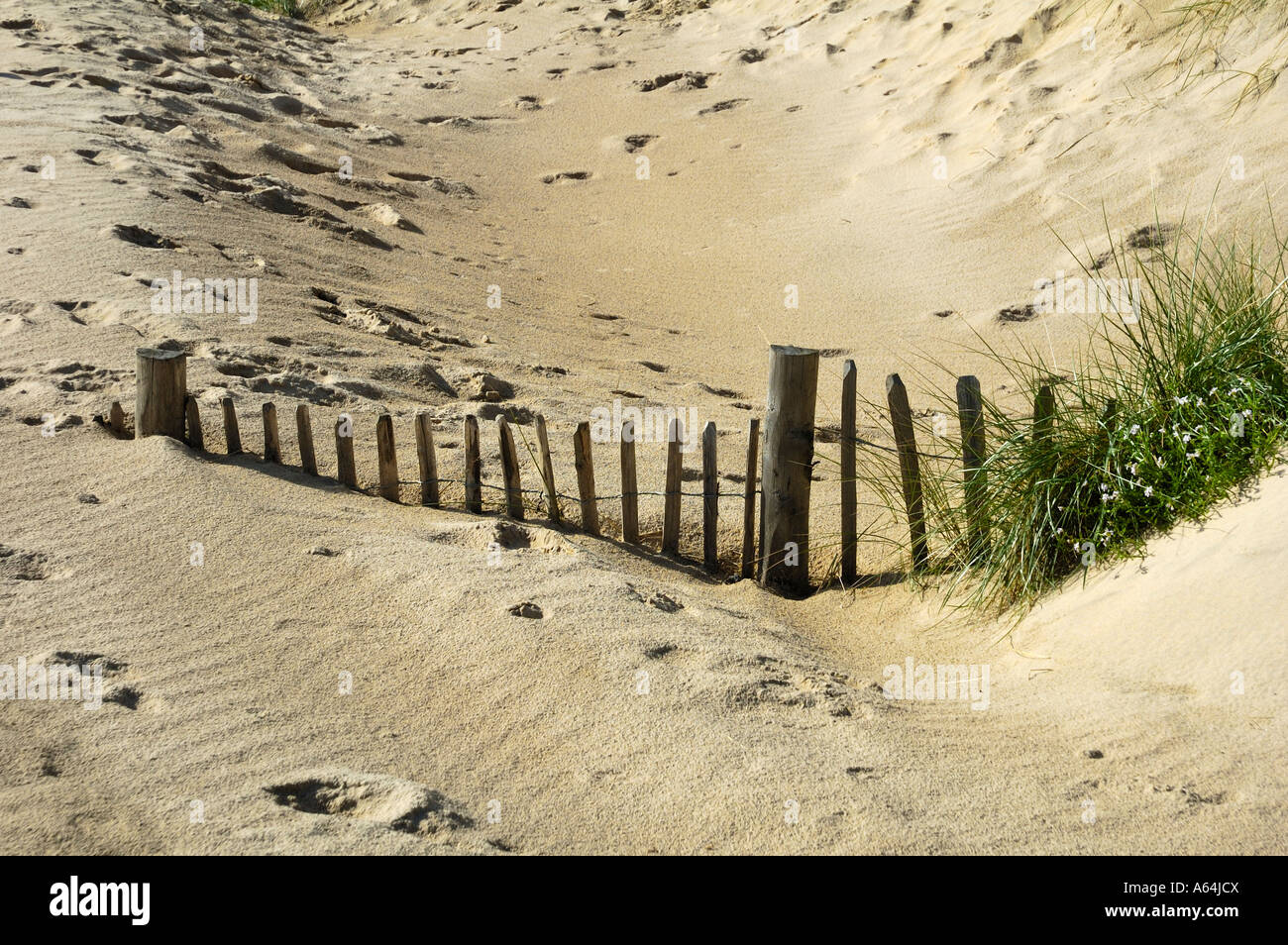 The sand dunes at Camber Sands Rye East Sussex England Stock Photo - Alamy