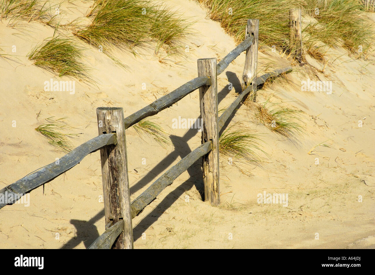 The sand dunes at Camber Sands Rye East Sussex England Stock Photo - Alamy