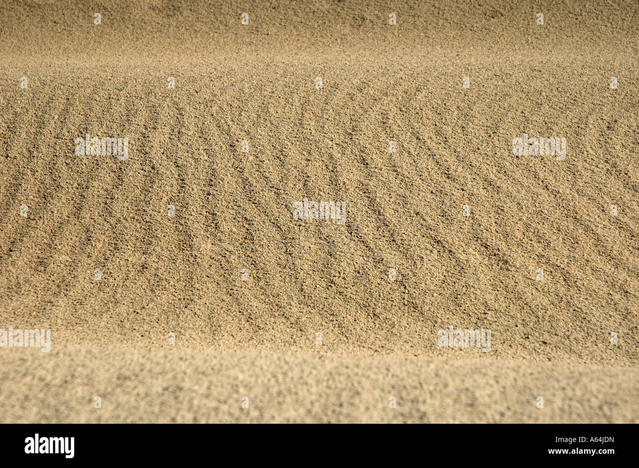 The sand dunes at Camber Sands Rye East Sussex England Stock Photo - Alamy