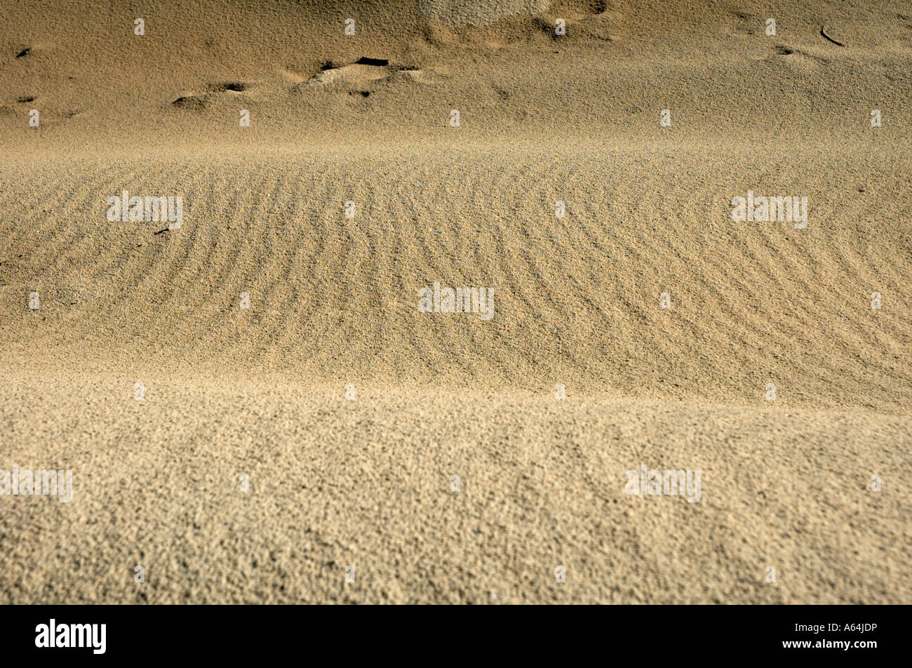 The sand dunes at Camber Sands Rye East Sussex England Stock Photo - Alamy